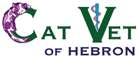 Appointments | The Cat Vet of Hebron
